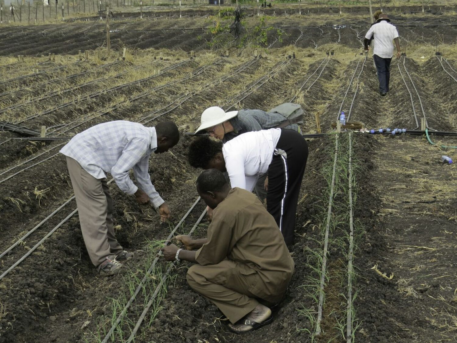 Donate - The Genova Foundation